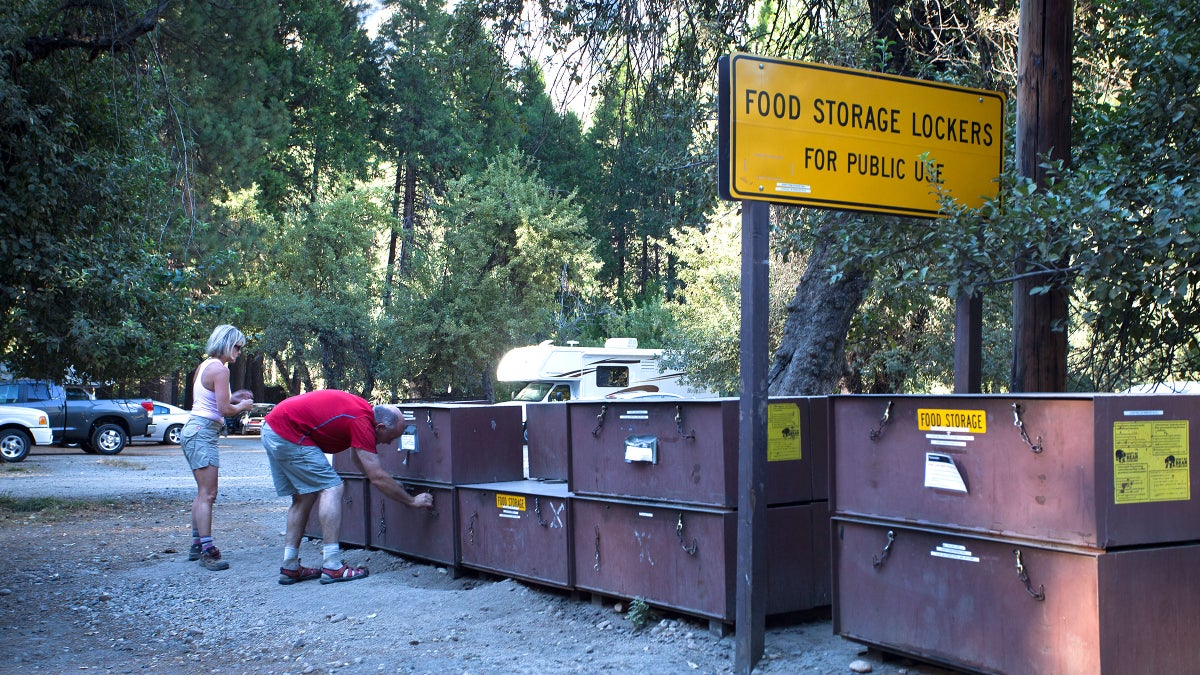 Bearproof Your Food and Smelly Things at Yosemite