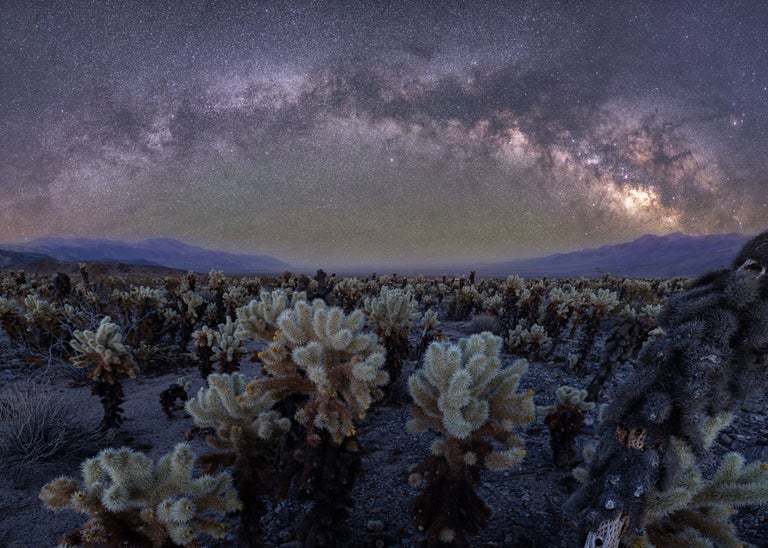 Joshua Tree National Park in California